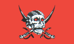 Pirate Flags – Islander Flags of Kitty Hawk, Inc.